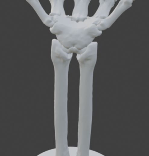 Hand skeleton headphone stand ready STL file for 3D printing forearm ...