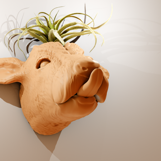 STL file cow calf head wall mount mooing planter pot flower vase stl 🐄 ...