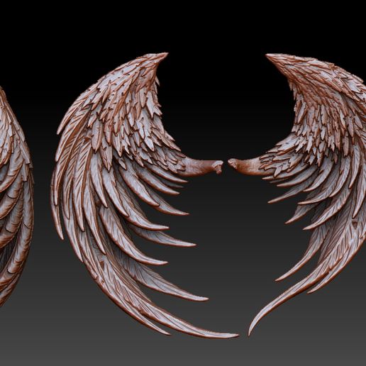 STL file Pairs of Wings 🗿 (OBJ)・3D printer design to download・Cults