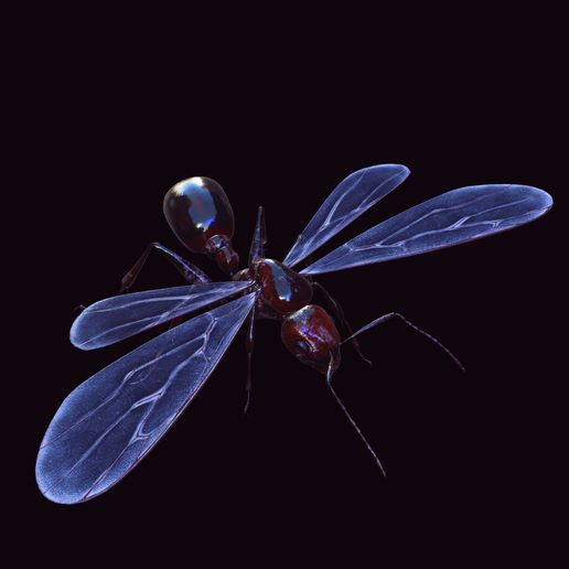 Fichier OBJ Insecte ANT BUG BEE HIVE WASP ANATOMY ANIMAL ANIMATED BLEND ...