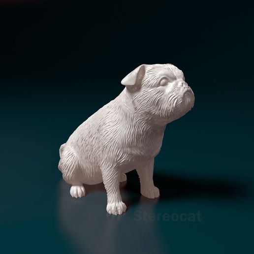 STL file American Lo-Sze pugg dog 🐕 (OBJ)・3D printer model to download ...