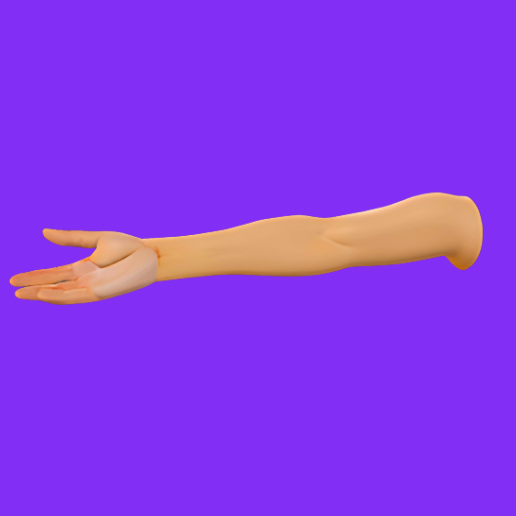 female arm 3d reference