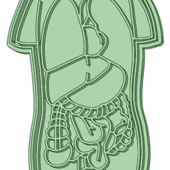 Organs best STL files for 3D printer・40 models to download・Cults