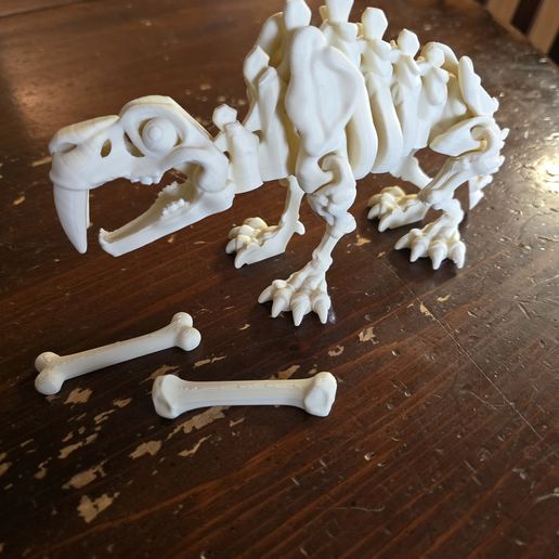 🧑‍🏭 Flexi Factory Skeleton Saber Tooth Tiger, Stand & Bones with 3MF ...