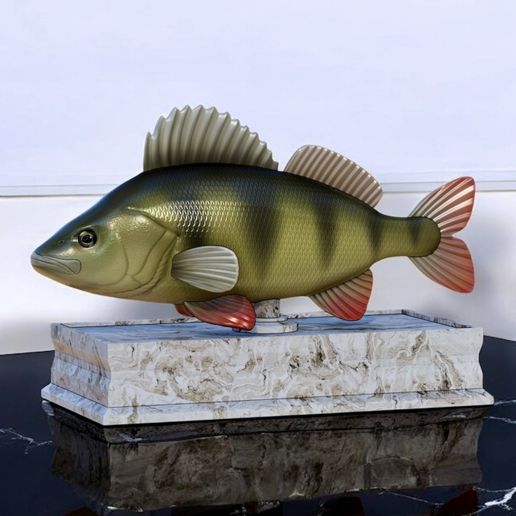 3D file fish european perch / Perca fluviatilis with storage space ...