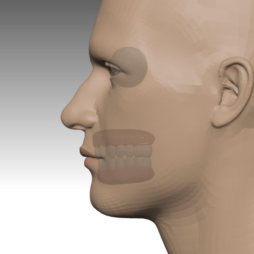👨 base model of man's face - modelo base de rostro de hombre - base ...