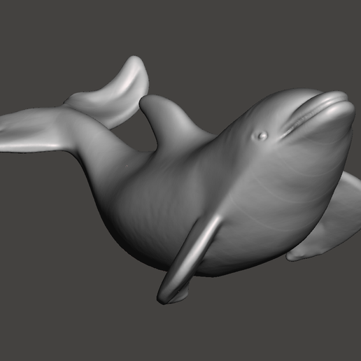 🐬 dolphin・ STL File for 3D printing・Cults