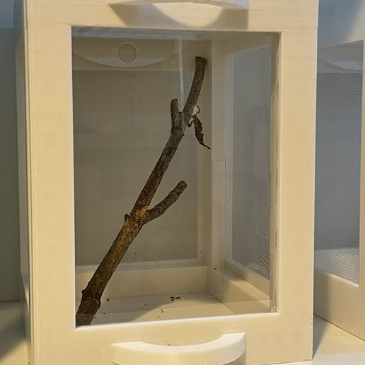 🙏 Praying Mantis Enclosure (Baby or Juvenile)・ STL File for 3D printing ...