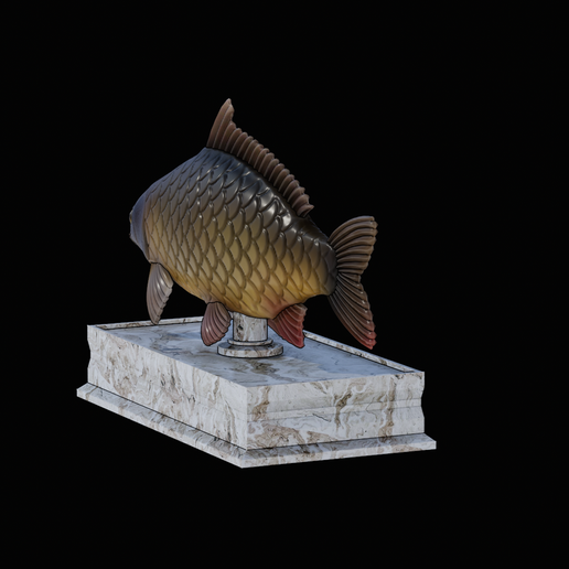 STL file fish carp / Cyprinus carpio with storage space / for 3d ...