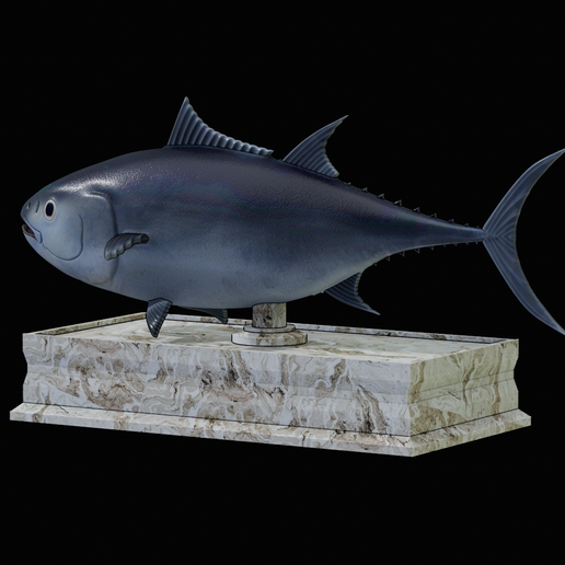🐠 fish tuna bluefin / Thunnus thynnus with storage space / for 3d ...
