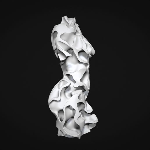 ♀️ Female Torso Art 3D print model・ STL File for 3D printing・Cults