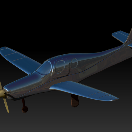 STL file Airplane Lancair Evolution 🛩️ ・3D printable design to download ...