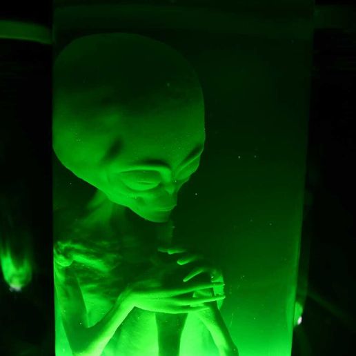 👽 Alien display enclosure・ STL File for 3D printing・Cults