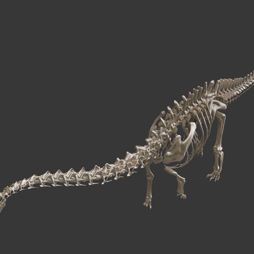 💀 Diplodocus: Complete skeleton・ 3D File for 3D printing・Cults