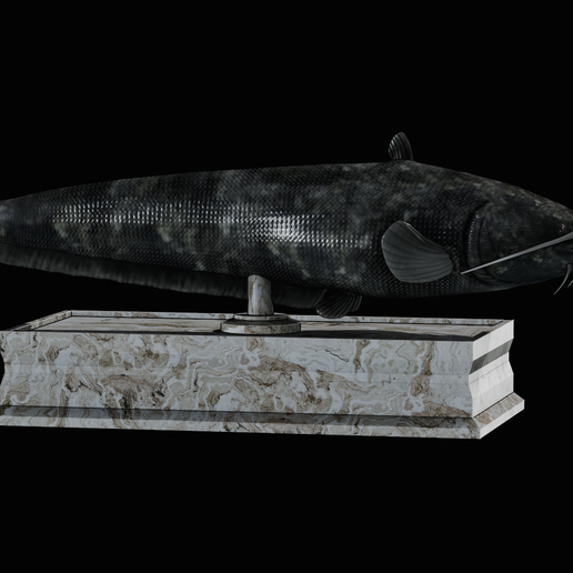 🐠 fish catfish / Silurus glanis with storage space / for 3d printing ...