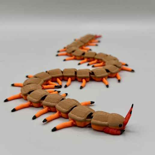 🐛 Flexy Amazon Centipede - Articulating Centipede・ STL File for 3D ...