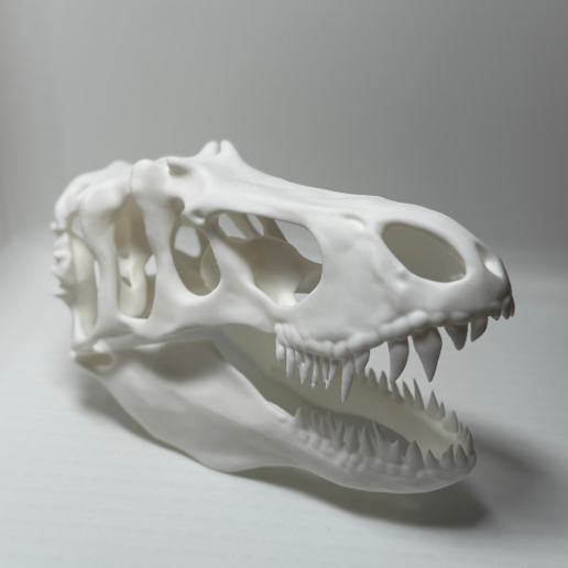 dinosaur skeleton head printable