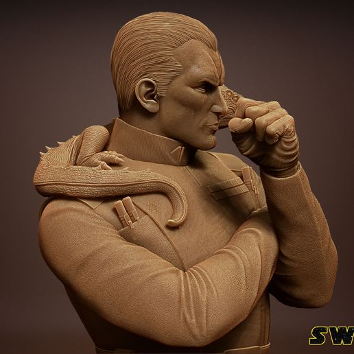 ⭐ STAR WARS THRAWN BUST: TESTED AND READY FOR 3D PRINTING・ 3D File for ...