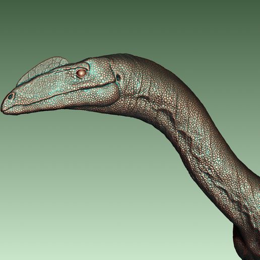 Fichier 3D Megapnosaurus rhodesiensis 🐉 ・Modèle à télécharger et à ...