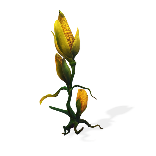 🌽 HUMAN Corn 3D Model VEGETABLE・ STL File for 3D printing・Cults