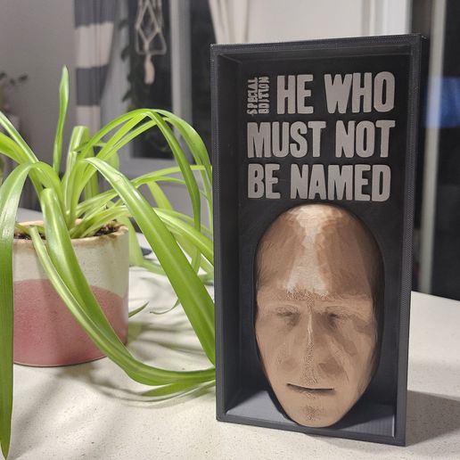 📚 Harry Potter "Voldemort" Book Nook・ STL File for 3D printing・Cults