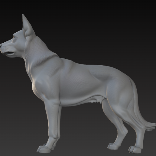 STL file German Shepherd Dog STL - High-Quality 3D Print File 🐕 ・3D ...