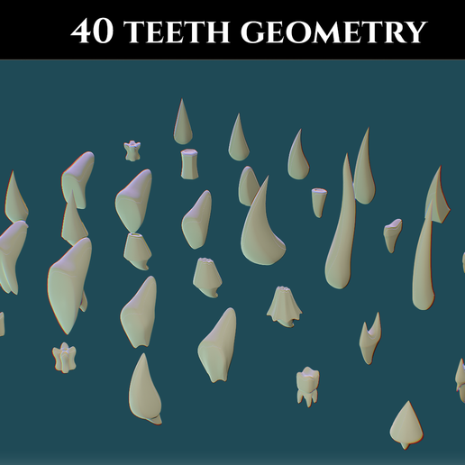 🐉 40 Teeth & Fangs Pack for 3D Printing | Separate STL Files 40 Teeth ...