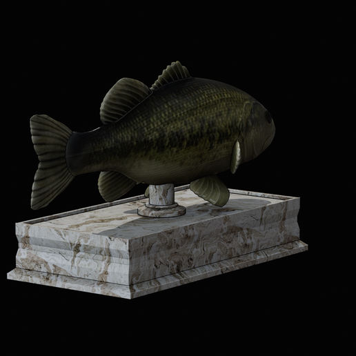 🐠 fish Largemouth Bass / Micropterus salmoides with storage space / for ...