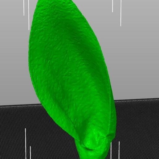 🦌 Deer Ear・ STL File for ・Cults