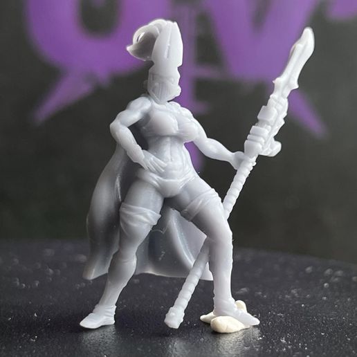⚔ Rogue Trader Custodes・free Stl File For 3d Printing・cults