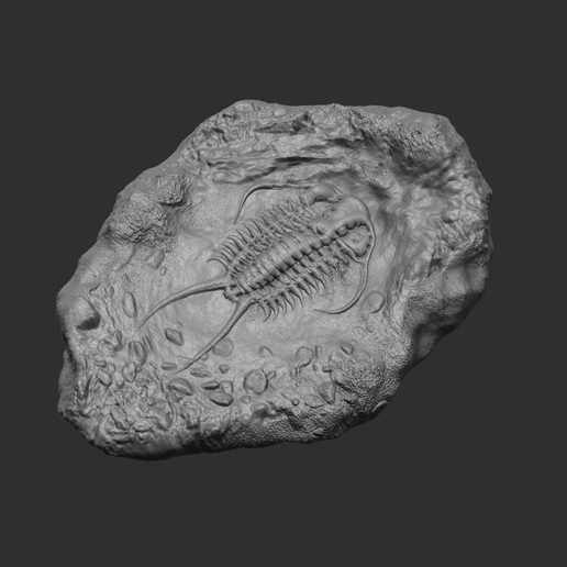 🗝️ Trilobite Mineral Fossile - Impressão realista e porta-chaves ...
