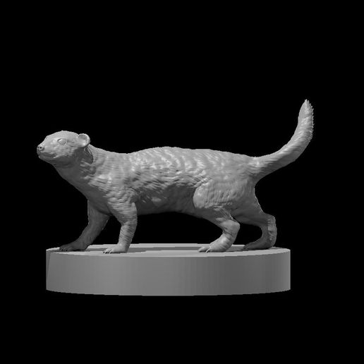 🐉 weasel・Free STL File for ・Cults