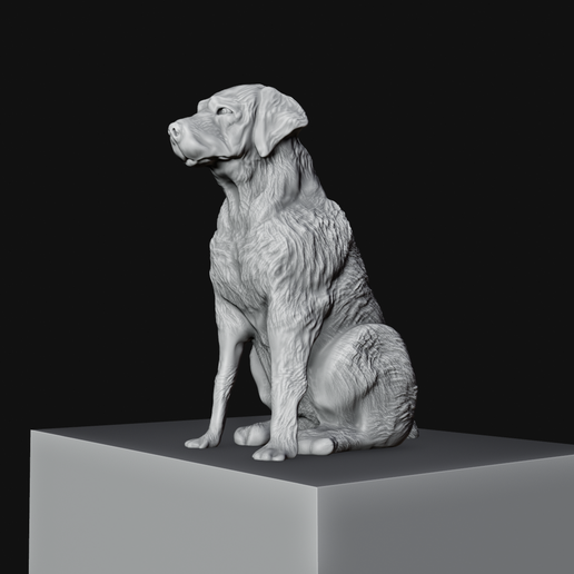 STL file labrador stl 🐕 ・3D printable model to download・Cults