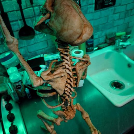 💀 Gremlins 2 Skeleton Melting Pose・ STL File for 3D printing・Cults
