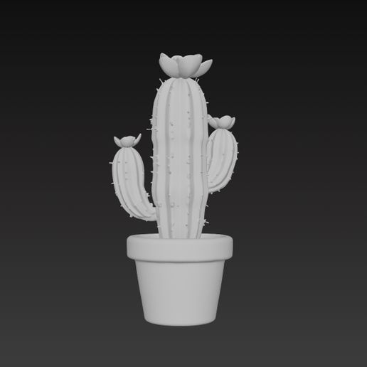 STL file Cactus 🌵 ・3D printer model to download・Cults