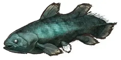 🎲 Coelacanth・ STL File for 3D printing・Cults