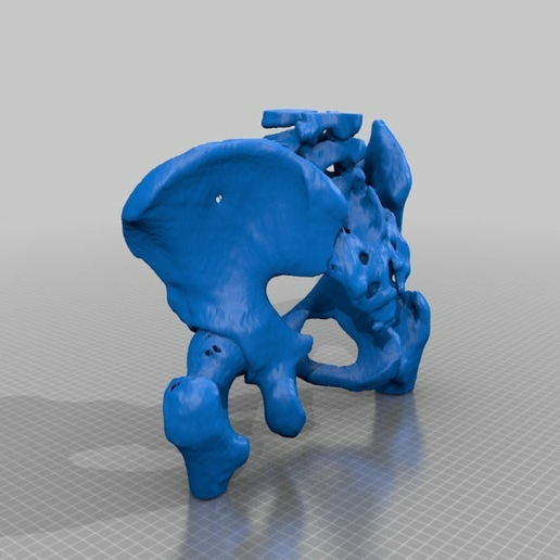 ♂️ My Pelvis (Male) Real CT Scan・ STL File for ・Cults