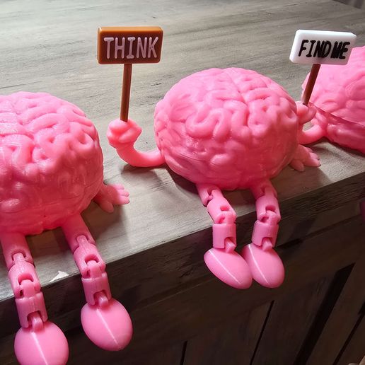 🧠💡Cute Articulated Brain Box with Interchangeable Signs・Free STL File ...