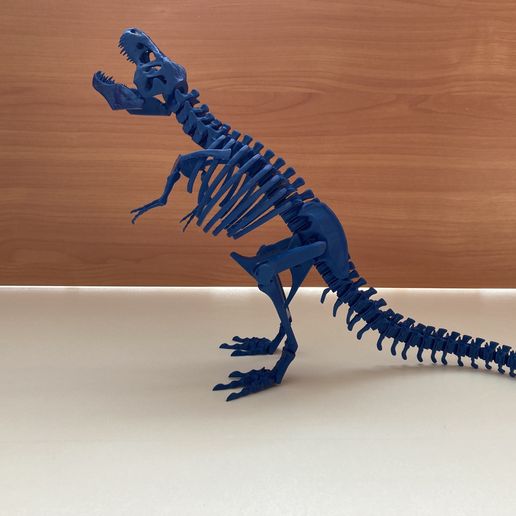 🦖 Posable T-Rex Skeleton- supportless・ 3D File for 3D printing・Cults