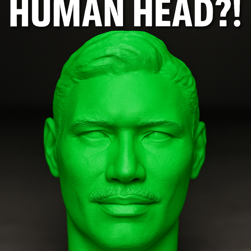 🗿 Realistic HUMAN HEAD Model – Perfect for 3D Printing Practice!・Free ...