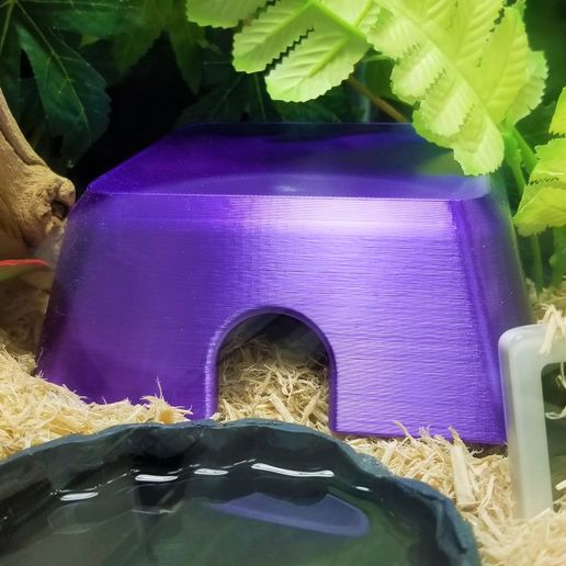 🐍 Simple Snake Hide・ STL File for ・Cults