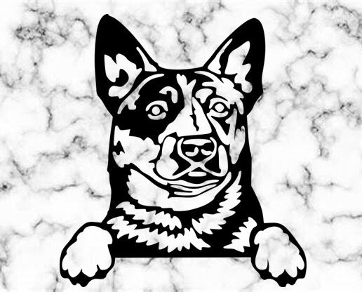 🐕 australian shepherd dog wall decoration wall mural decoration dog ...