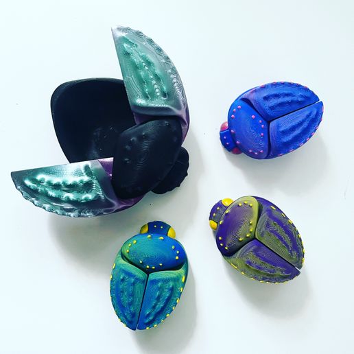 🪲 Beetle Box・Free STL File for ・Cults