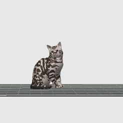 Bengal best 3D printer files・89 free models to download・Cults