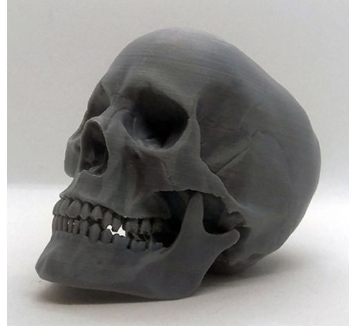 💀 human skull・Free STL File for ・Cults
