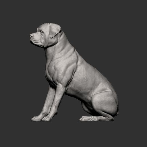STL file Rottweiler is sitting 3D print model 🐕 (OBJ)・3D printer design ...