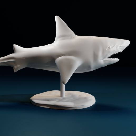 STL file Shark STL 🦈 ・3D print model to download・Cults