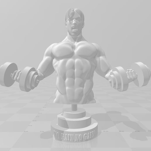 🏆 No Pain No Gain Bodybuilding Trophy・ STL File for ・Cults