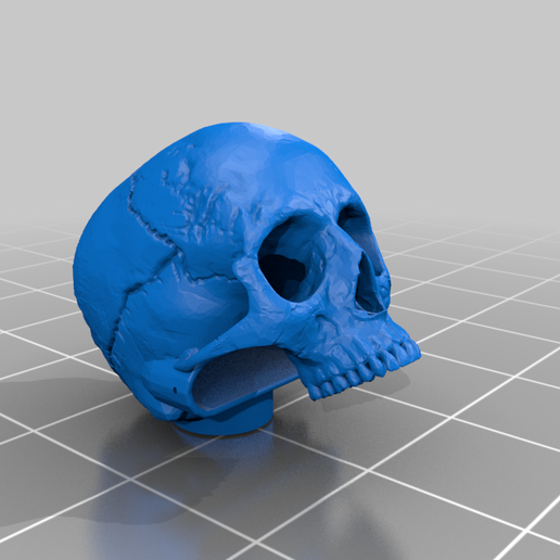 💀 Skull Bug Catchers 1/25th scale・Free 3D File for ・Cults