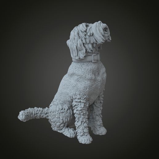 🐕 labradoodle dog・ STL File for 3D printing・Cults